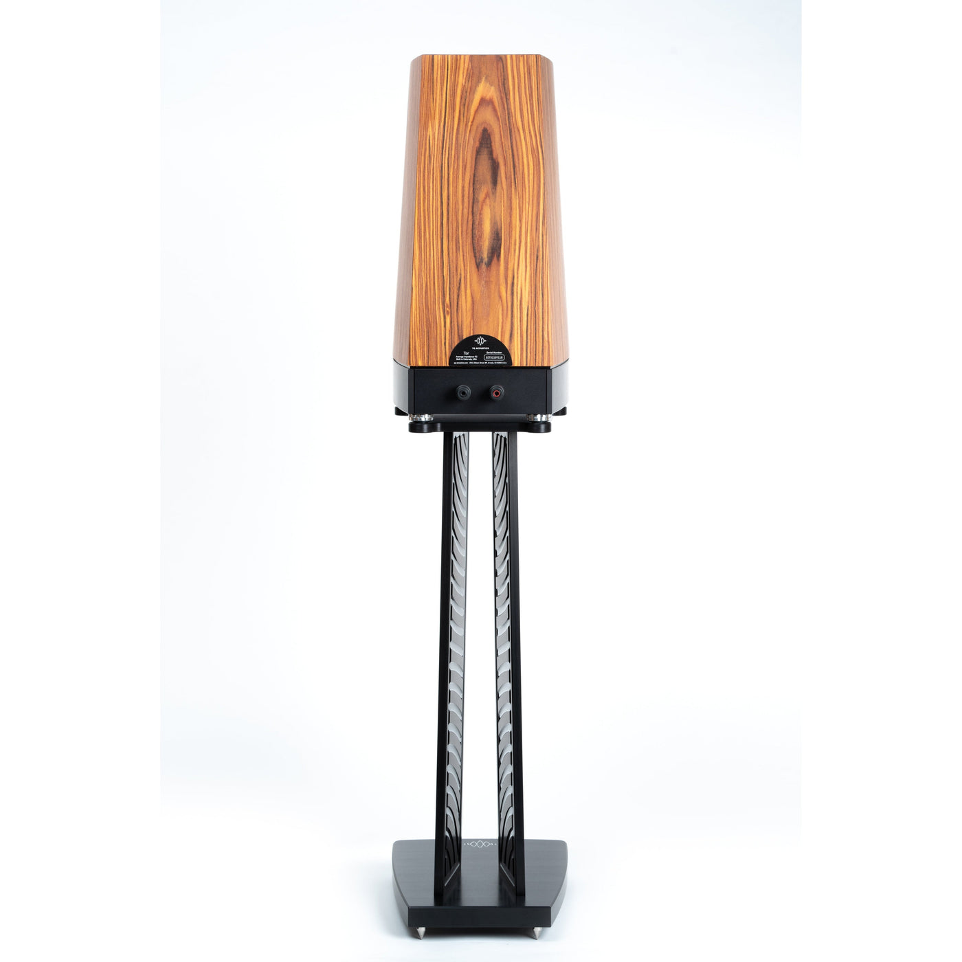 YG Acoustics Tor Bookshelf Speakers Review: A Masterclass in Sonic Exc ...